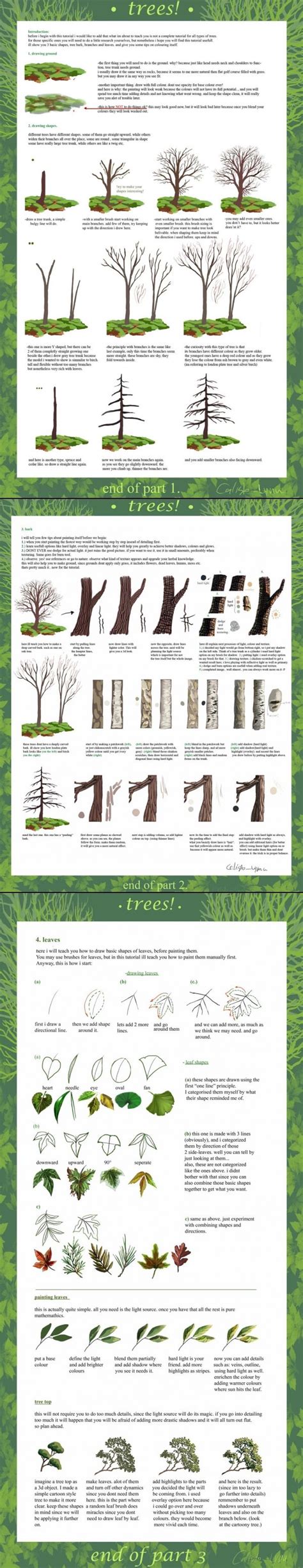 Tree Tutorial Part 1 By Calisto Lynn On DeviantART Tree Drawing Nature Drawing Realistic