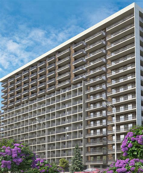 პროექტები არქი