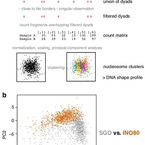 Principal Component Analysis Pca Clustering Approach A Schematic Of