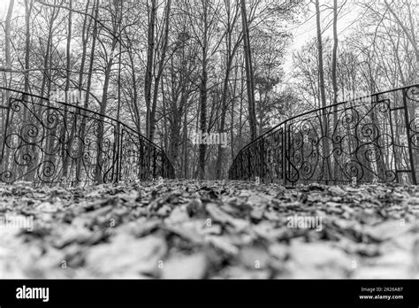 Old Bridge Leads Over Small Pond The Whole Bridge Is Covered With