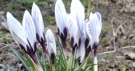 6 клас Контрольна робота №5 «Відмінювання та творення іменників Правопис іменників Тест