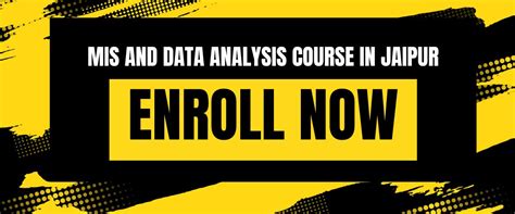 Mis And Data Analysis Course In Jaipur Thirdeye Computer Classes
