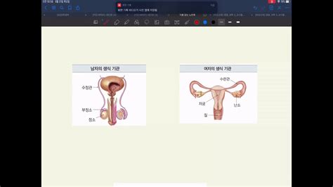 생식과유전 생식기관 정자 난자 Youtube