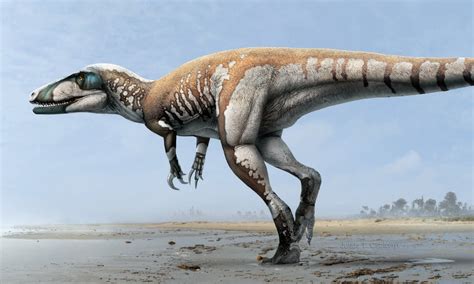 Australovenator Walking With Dinosaurs