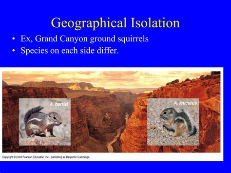 Ppt Speciation Last Lecture Powerpoint Presentation Free Download Id 1144183