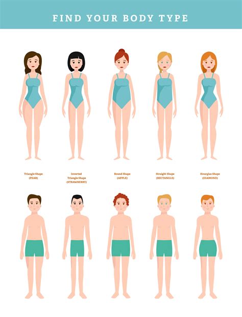 Body Types Illus Icons Infographics