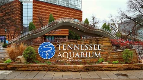 Chattanooga Aquarium Tennessee Aquarium Ocean Journey By Chermayeff