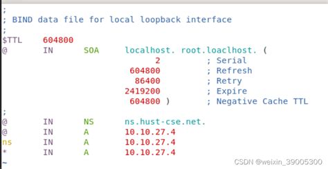 Hustcse 2024 计算机网络安全实验 Dns远程缓存中毒 Kaminsky攻击hustcse2024 Csdn博客