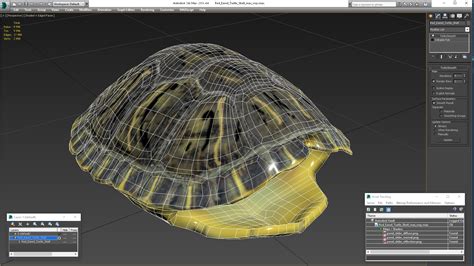 3d Red Eared Turtle Shell Model Turbosquid 2147301