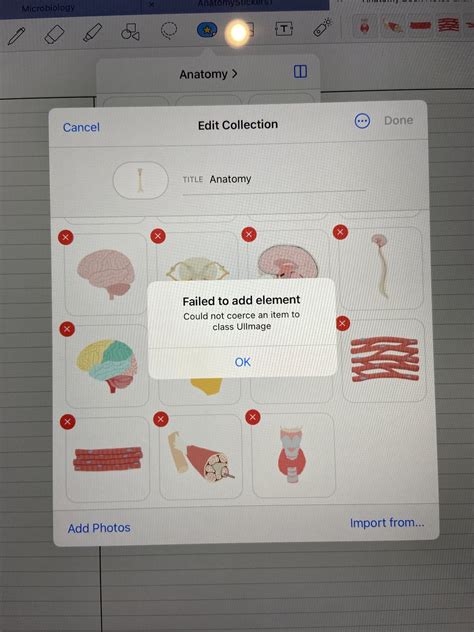 Could Not Coerce An Item To Class Uiimage Error Anyone Know What This Means Rgoodnotes