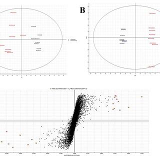 A The PCA Scores Plot B The PLS DA Plot And C The S Plot Download Scientific Diagram