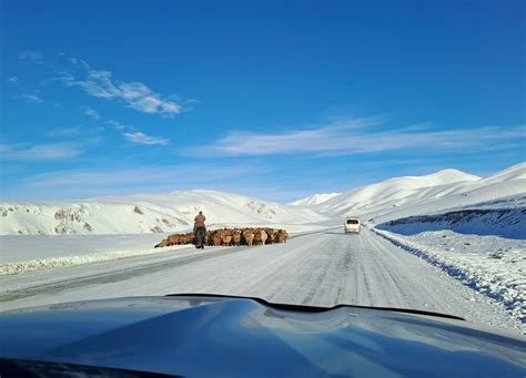Хаан вэ таагаарай 😀😀😀 Увс Аймгийн Залуучууд