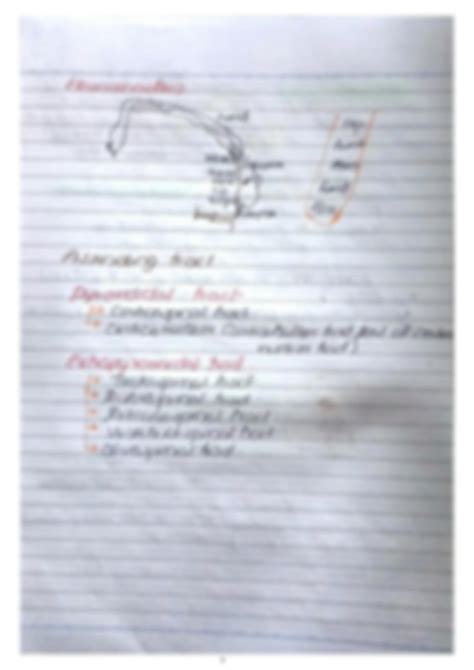 Solution Descending Tracts Pyramidal And Extra Pyramidal Pathways