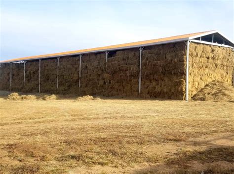 ДОРНОД Өвс тэжээлийн нөөц бүрдүүлэлт 90 гаруй хувьтай байна