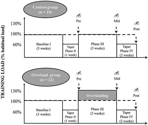 Schematic Representation Of The Experimental Protocol Bicycle Symbols