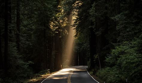 K조선 Hd한국조선해양한화오션삼성중공업 슈퍼사이클 실적 매출 전망