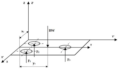 6 Arrangement Of The Dynamometers Download Scientific Diagram