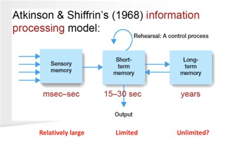 Lecture 6 Recognition Memory Flashcards Quizlet Lecture 6 Recognition Memory Flashcards Quizlet