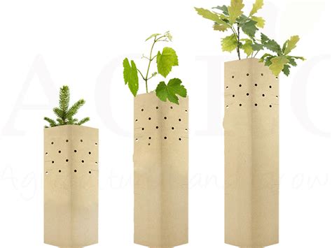 AGROW How To Choose The Right Tree Guard