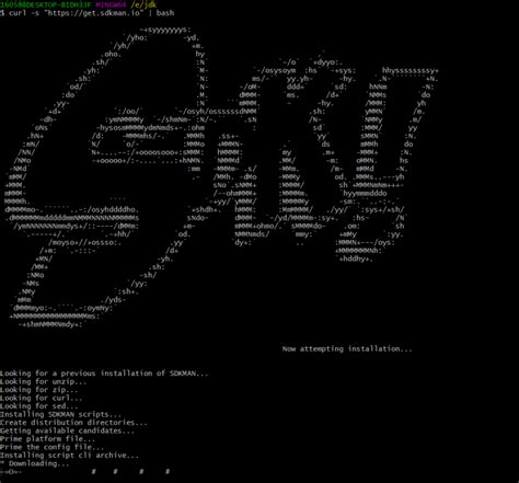 用sdkman管理多个jdk切换 chaiwangbing 博客园