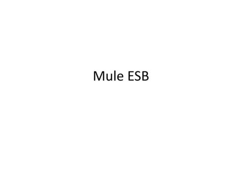 Mule Esb Ppt