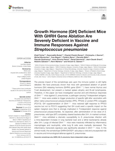 Pdf Growth Hormone Gh Deficient Mice With Ghrh Gene Ablation Are