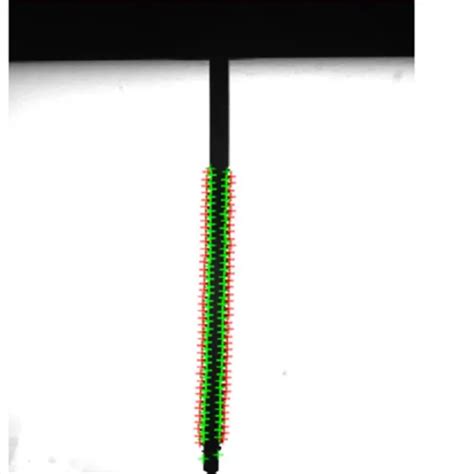 Defect Detection Wood Screw Or Long Rod Screw Optical Sorter Ai Visual Sorting Machine Optical