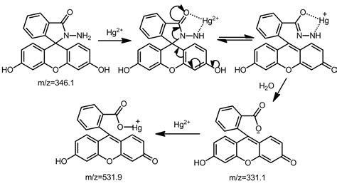 Sensitive Colorimetric And Fluorescent Detection Of Mercury Using Fluorescein Derivations