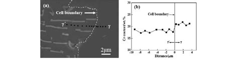 Sem Image Of A Cell Boundary A And The Variation Of Cr Content Across Download Scientific