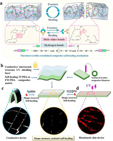 Application Of Shape Memory And Self Healable Polymerscomposites In