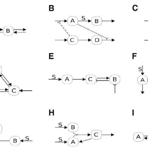 Schematic Of Circuits A Schematic Representation Of The Primary