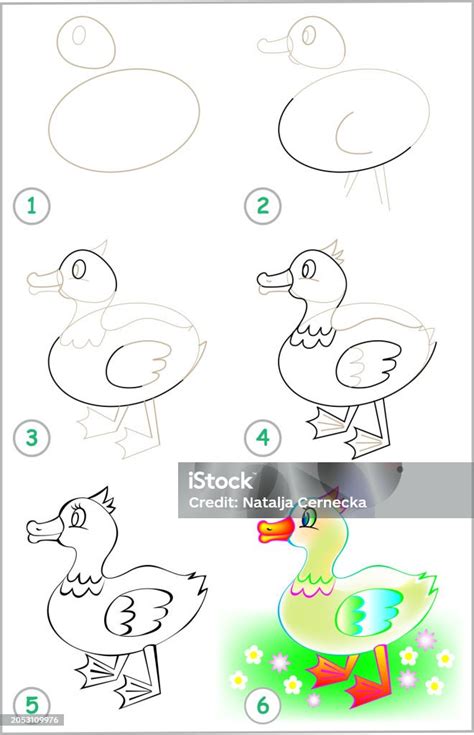작은 오리를 그리는 방법을 단계별로 배우는 방법을 보여줍니다 아이들의 그림 그리기와 색칠 기술 개발 벡터 이미지입니다 0명에 대한 스톡 벡터 아트 및 기타 이미지 Istock