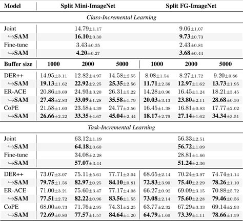 selective attention based modulation for continual learning paper and code