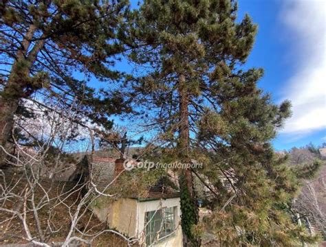 Eladó Telek Pécs Pécs Bálics Dűlő Lakóövezeti Telek