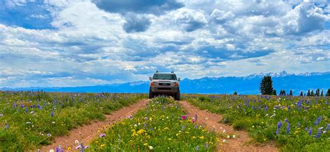 Your Single Favorite Summer Fj Photo Page Toyota Fj Cruiser Forum