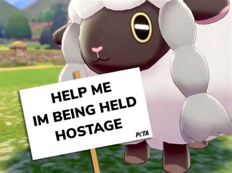 29 Wooloo Memes About Your Favorite New Pokémon Ebaums World
