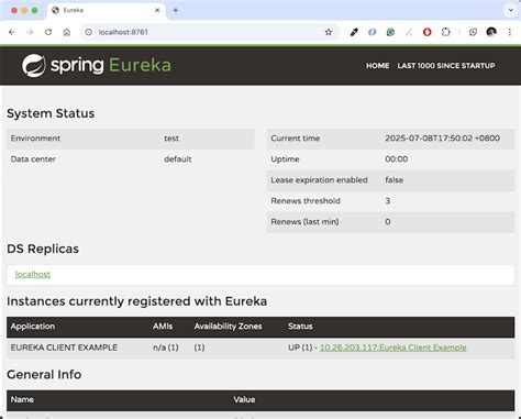 Register Services With Eureka Server Using Eureka Client With Spring Cloud Netflix Huong Dan Java