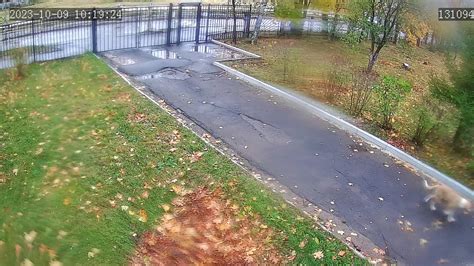 Tgbot Roboflow Universe