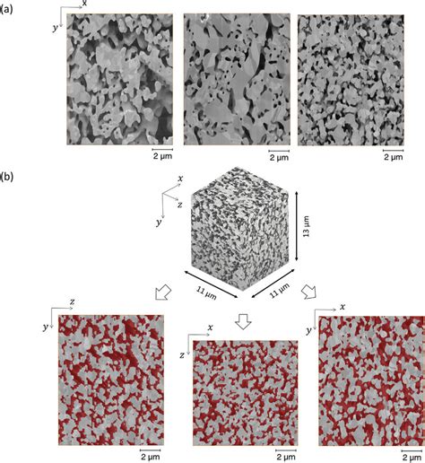 Pre Processed SEM FIB Tomography Image Data A In The X Y Plane For Download Scientific