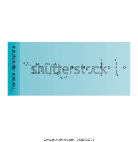 Thiamine Diphosphate Skeletal Structure Diagramvitamin B1 Stock Vector Royalty Free 2538304701