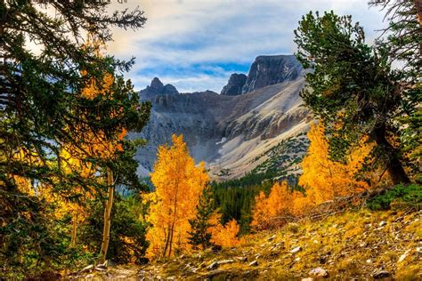 Great Basin National Park In Nevada Is A Hidden Gem Of The West