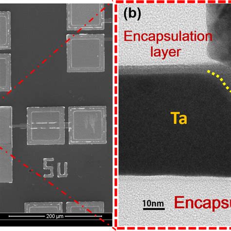 a sem top view image of typical devices in the proposed encapsulated