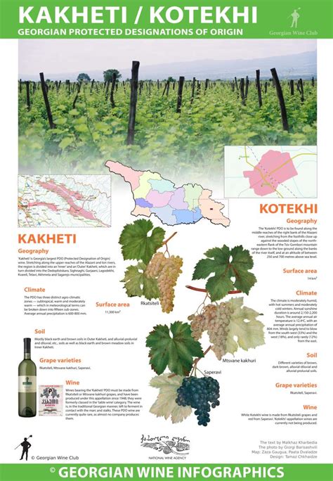 Wine Infographics Marani