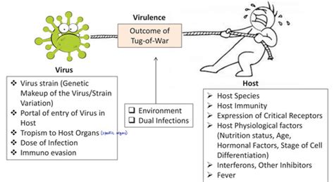 Host Pathogen Interactions Flashcards Quizlet