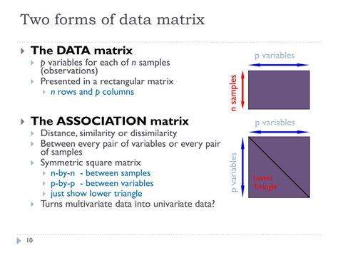 ppt exploratory data analysis and multivariate strategies powerpoint