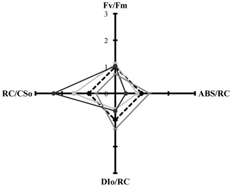 P Cresol Impact On The Molecular Structure And Function Of The