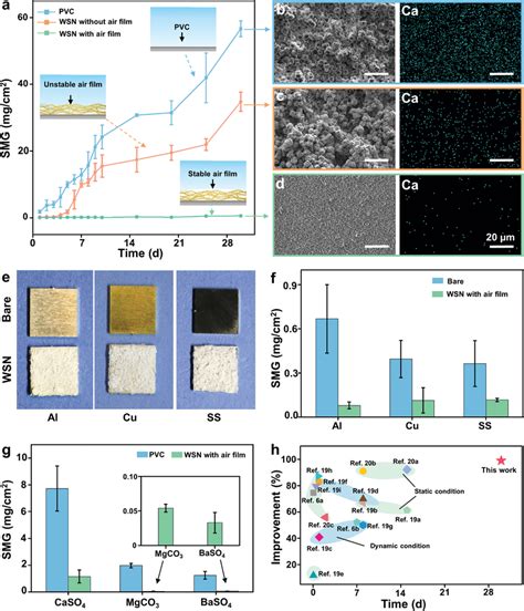 Anti‐scaling Universality On Air Film‐mediated Wsn Coating A