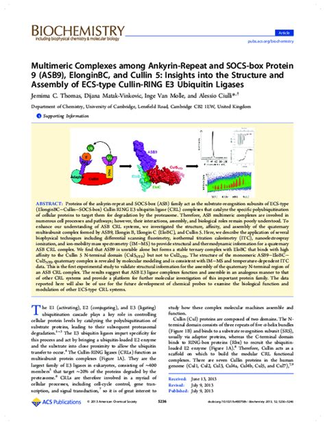 Pdf Multimeric Complexes Among Ankyrin Repeat And Socs Box Protein 9
