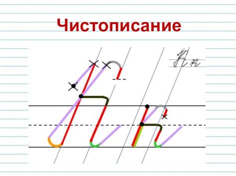 70 лучших каллиграфических прописей с буквами