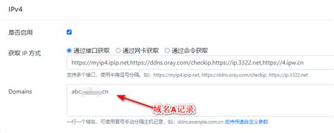 Windows环境下ddns Go的安装与使用 墨天轮